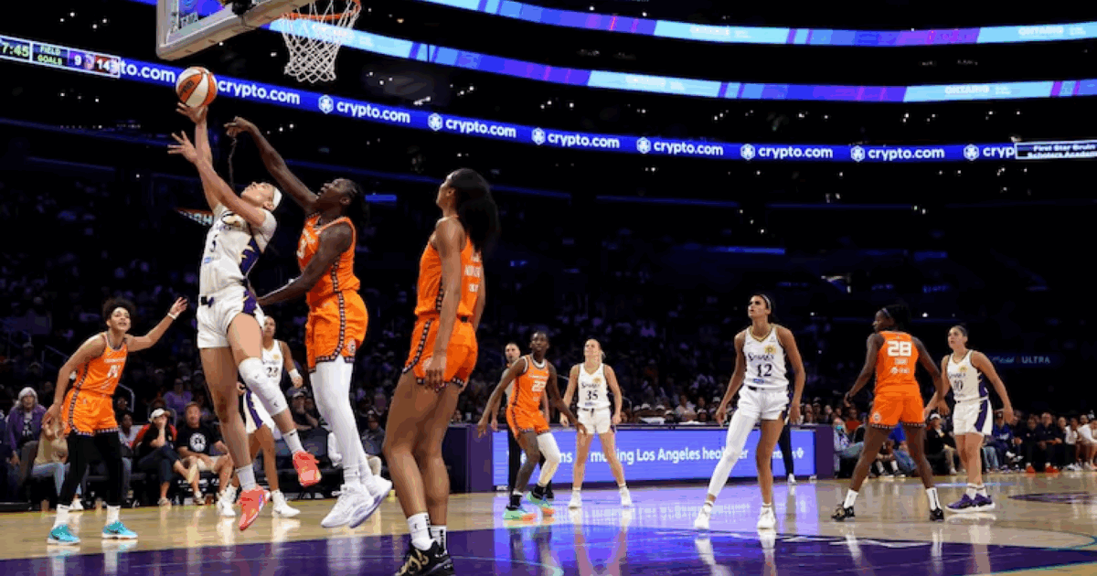 Throwing dildos at WNBA games is part of rape culture